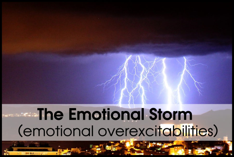 The Emotional Storm – Homeschooling2e