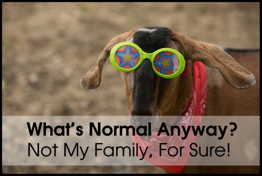 What’s Normal Anyway? – Homeschooling2e