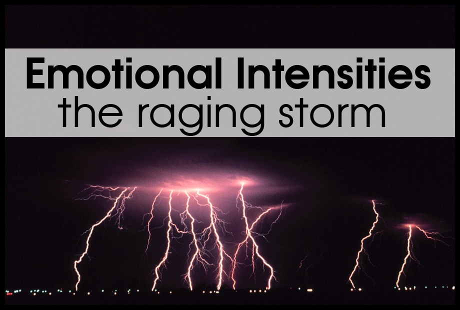 My Favorites – Homeschooling2e