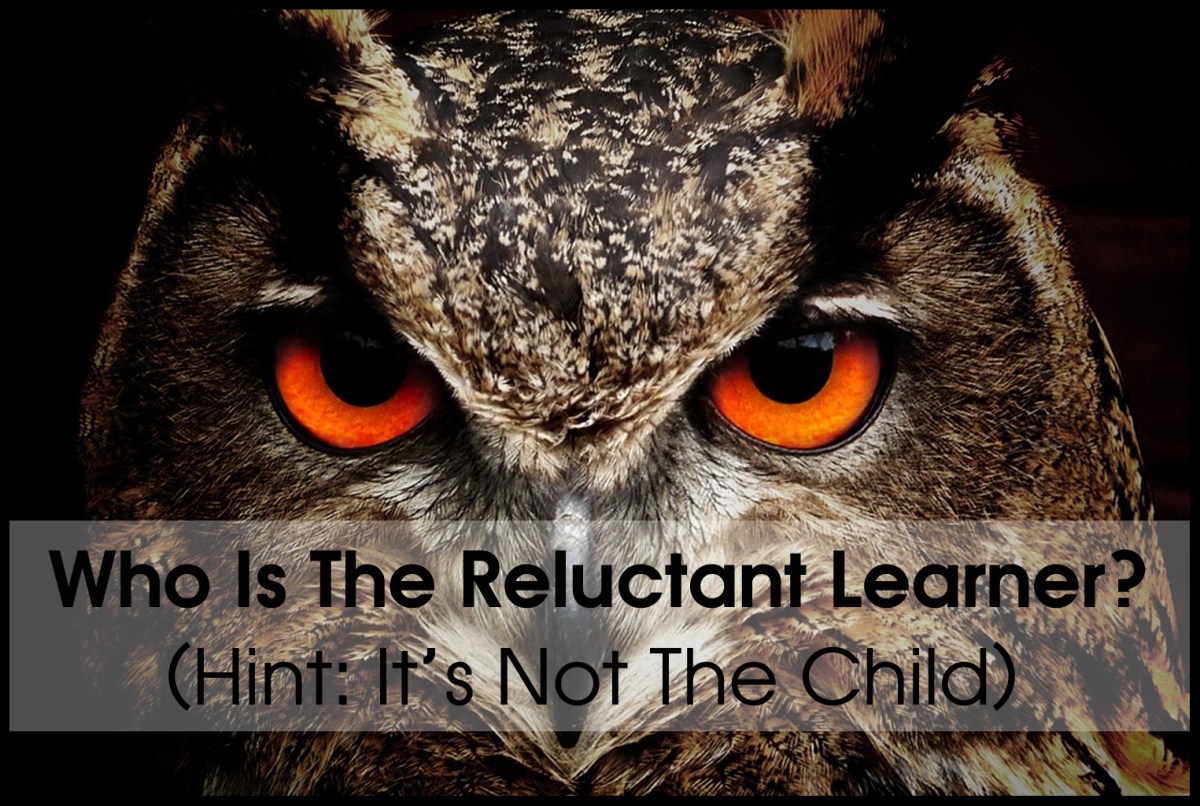 Who Is The Reluctant Learner? – Homeschooling2e