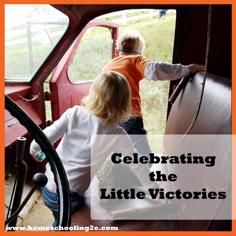 Celebrating the Little Victories – Homeschooling2e