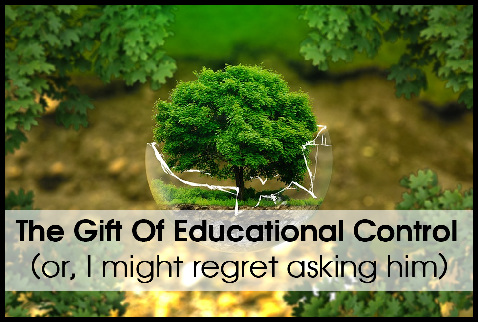 The Gift Of Educational Control – Homeschooling2e