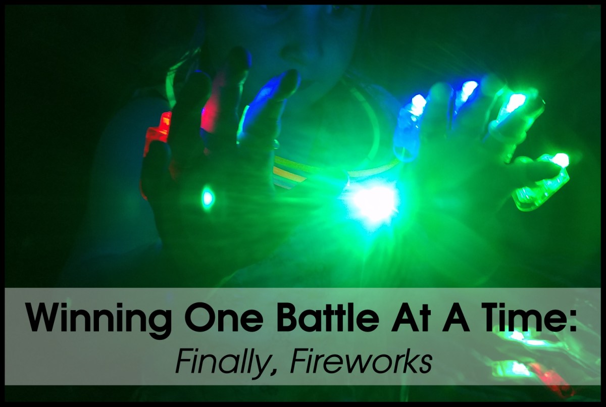 Winning One Battle At A Time – Homeschooling2e
