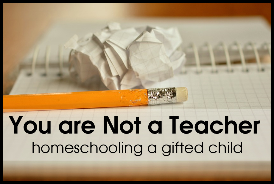 You are Not a Teacher – Homeschooling2e