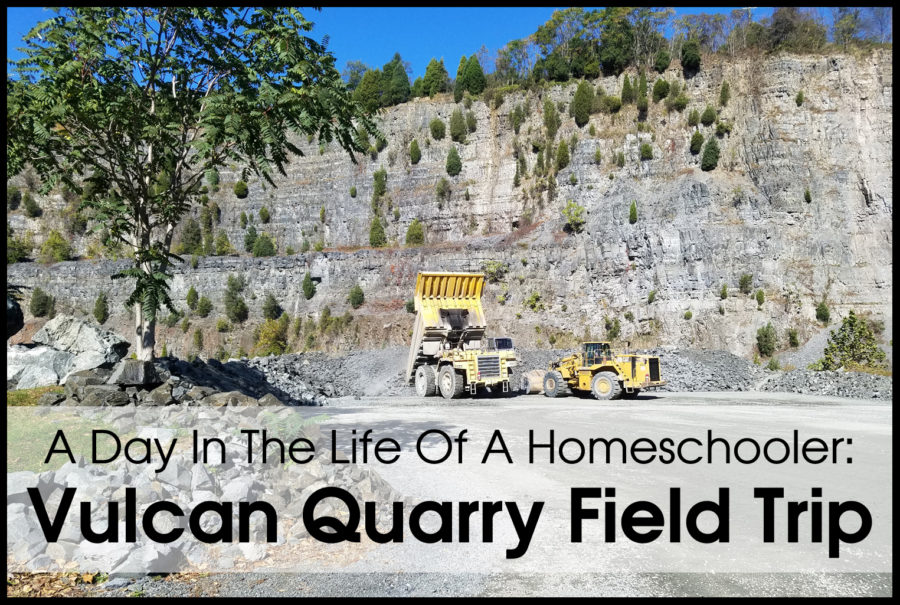 Vulcan Quarry Field Trip – Homeschooling2e