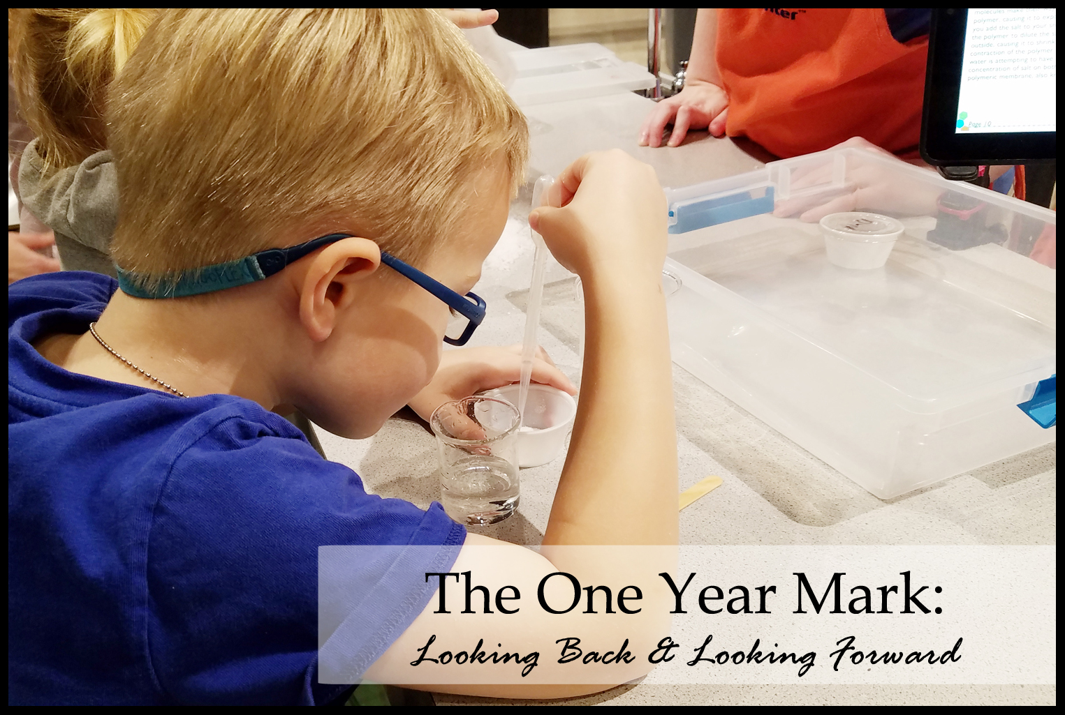 The One Year Mark: Looking Back & Looking Forward – Homeschooling2e
