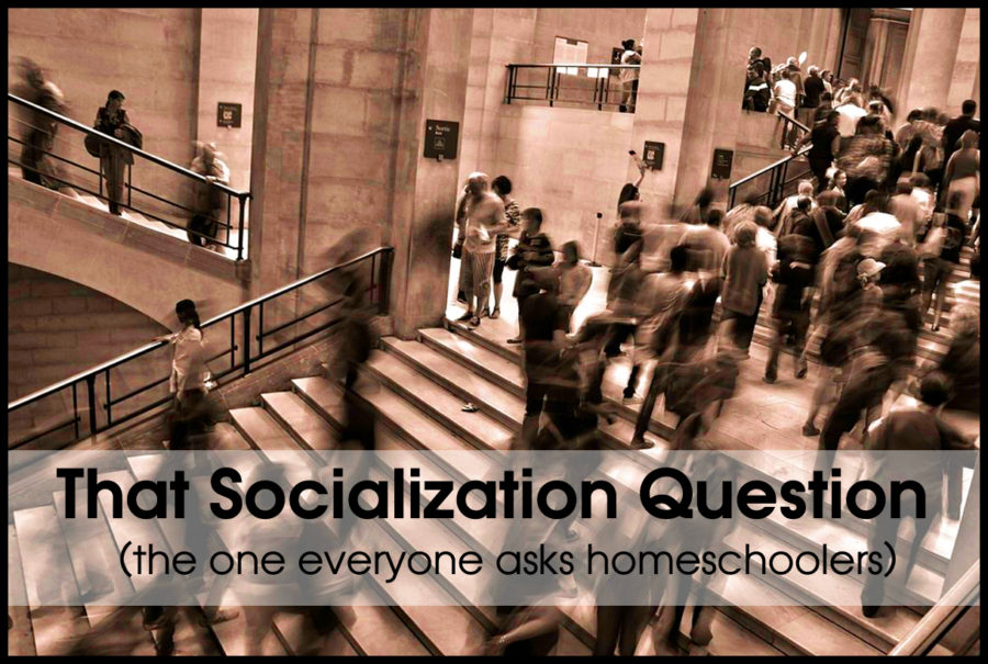 That Socialization Question – Homeschooling2e
