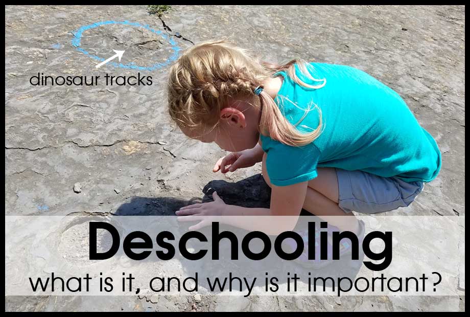 Deschooling: What is it, and Why is it Important? – Homeschooling2e